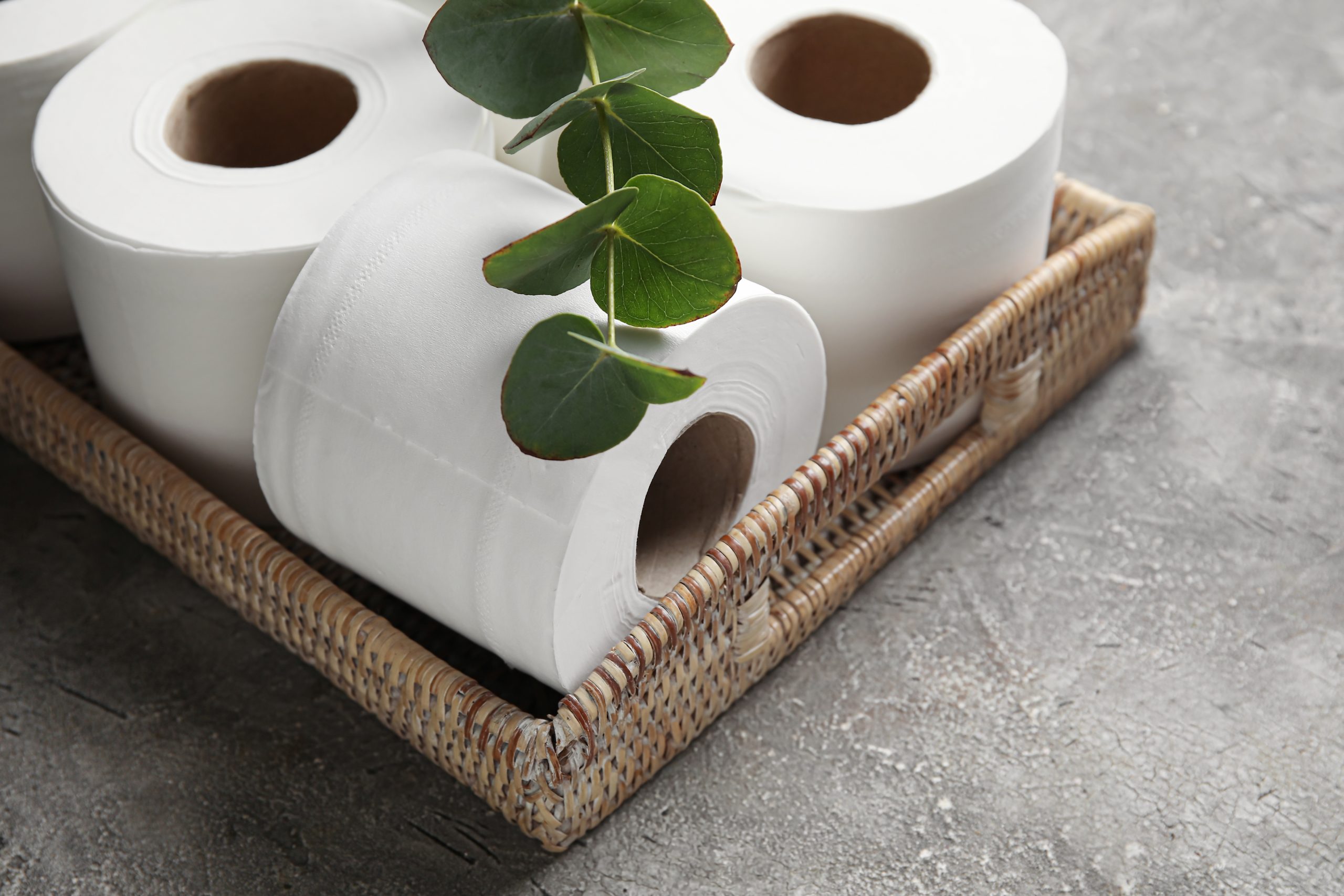 A história do tissue, o mais macio dos papéis - My Planet